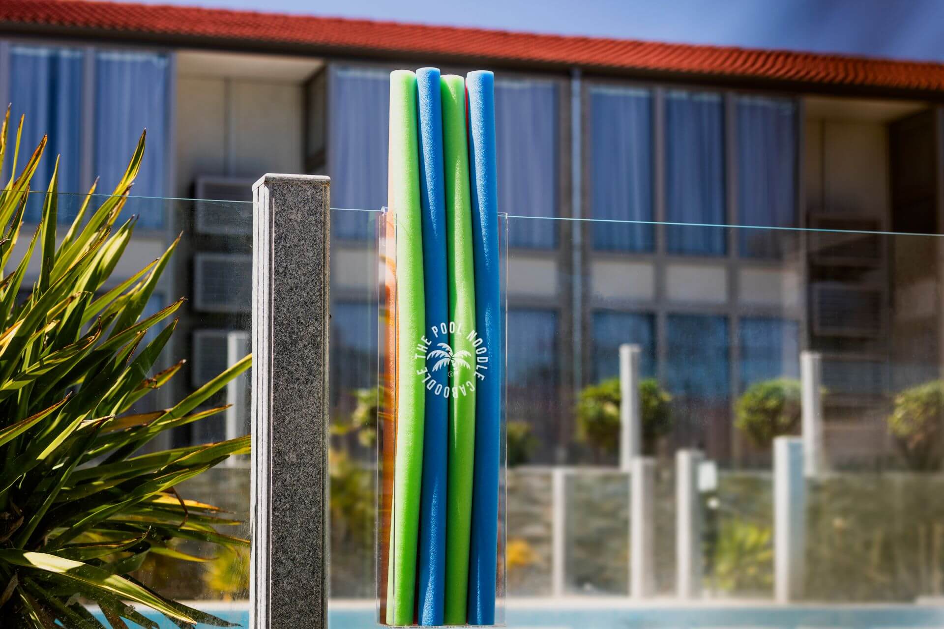 Dive with Pool Noodle Caboodle: Your Swimming Pool Resource